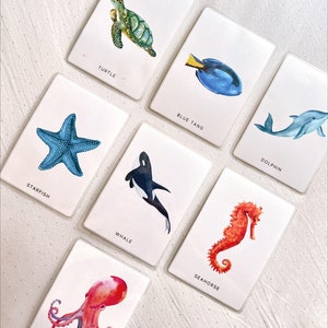 Printable PDF Ocean Animal Cards | Toobs Matching Cards, Montessori ...