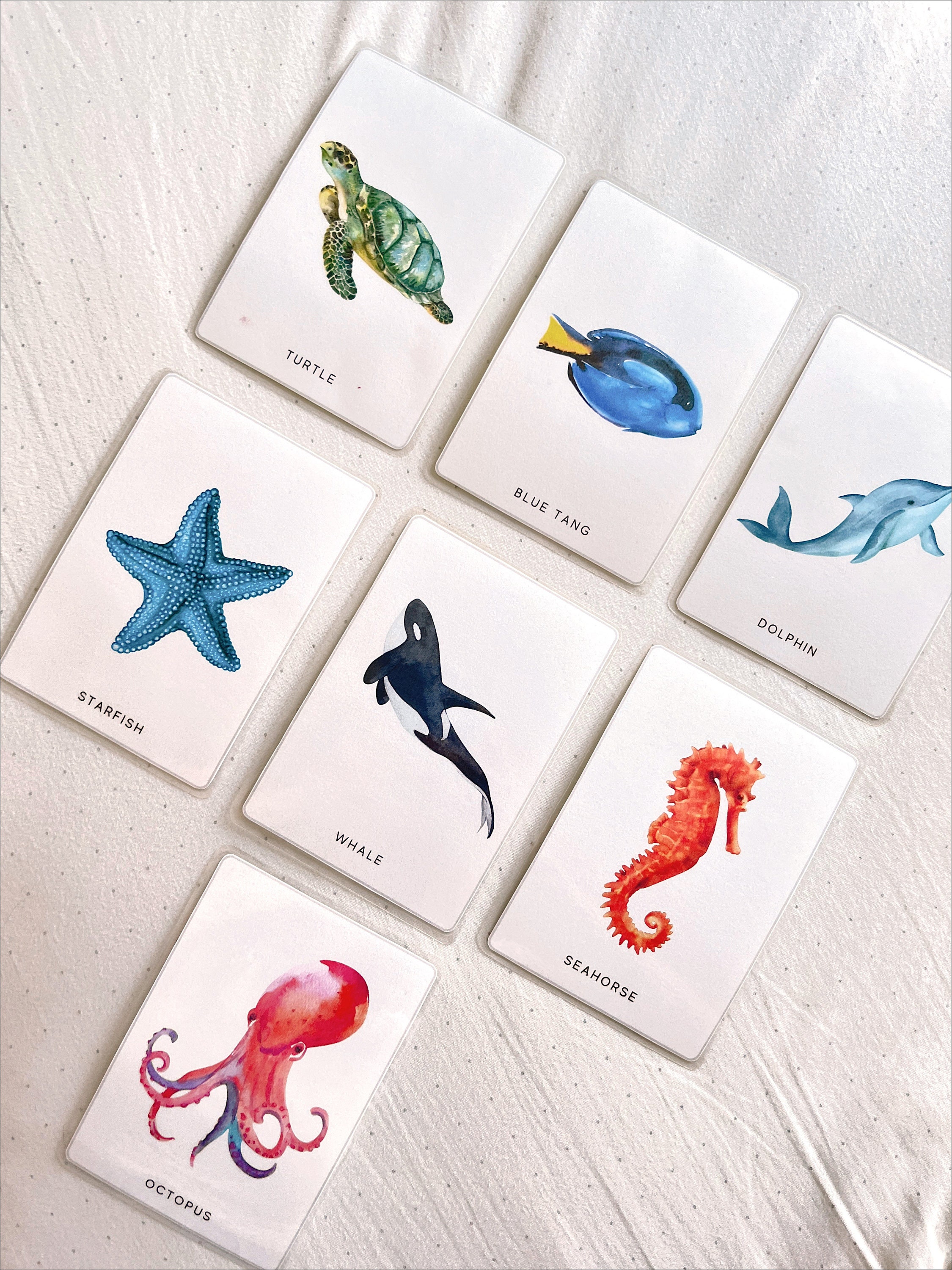 Printable PDF Ocean Animal Cards Toobs Matching Cards - Etsy