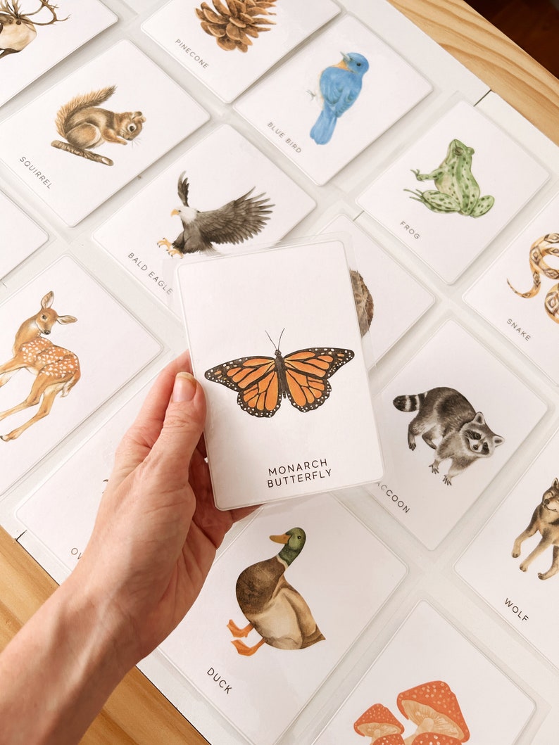 Printable Forest Animal Cards Toobs Matching Cards, Montessori Flash ...