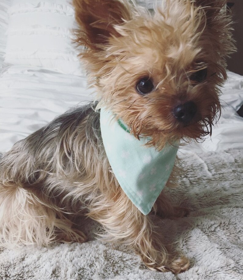 READY to SHIP MINT Dog Bandana Dog Accessories Pet | Etsy