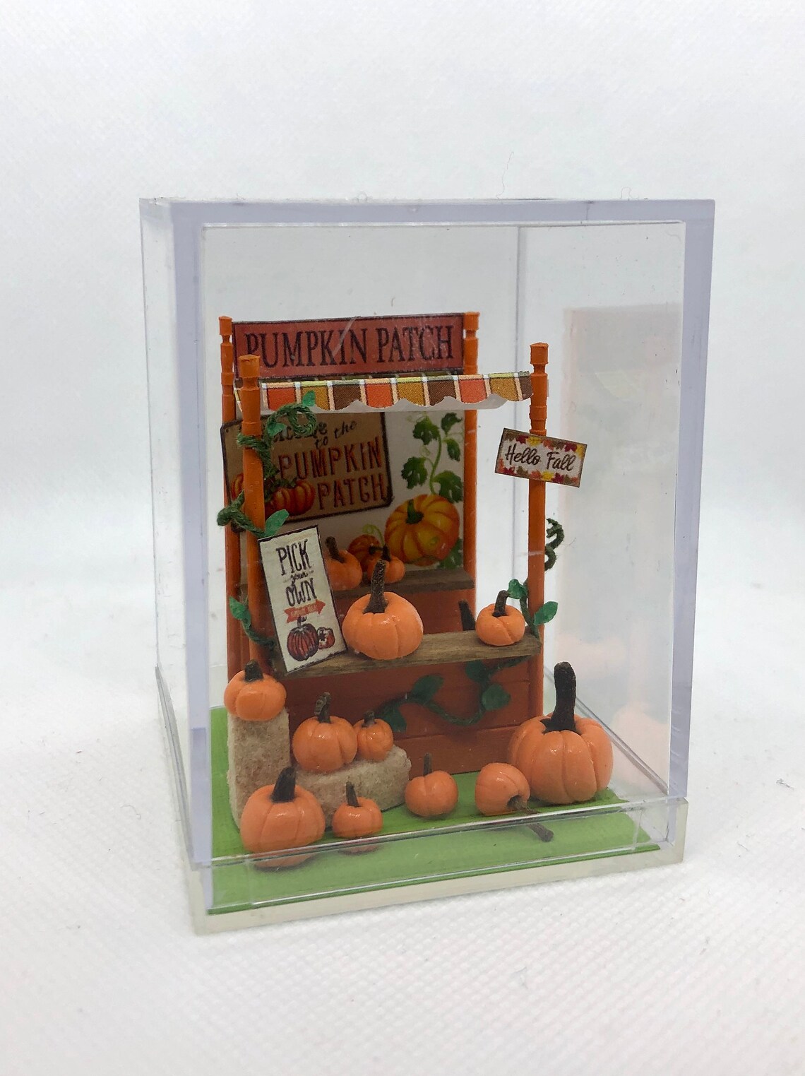 1:48 Pumpkin Patch Pop-up Shop KIT - Etsy