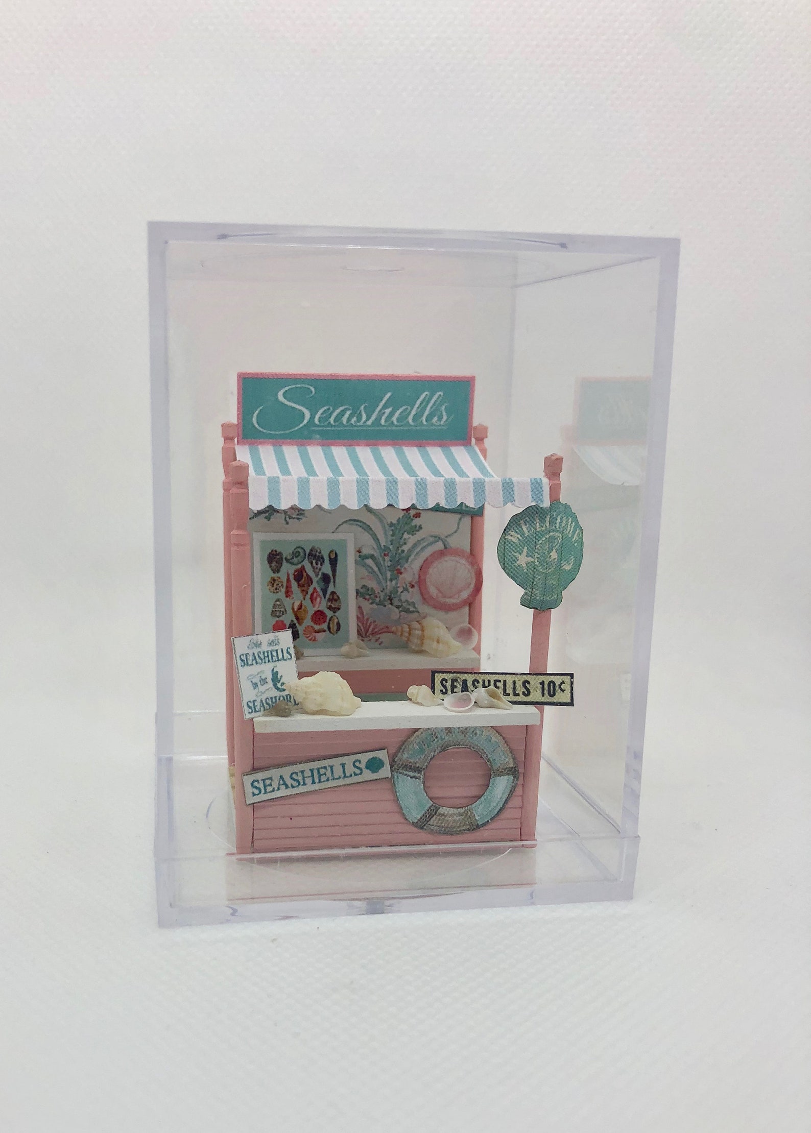 1:48 Seashell Pop-up Shop KIT - Etsy