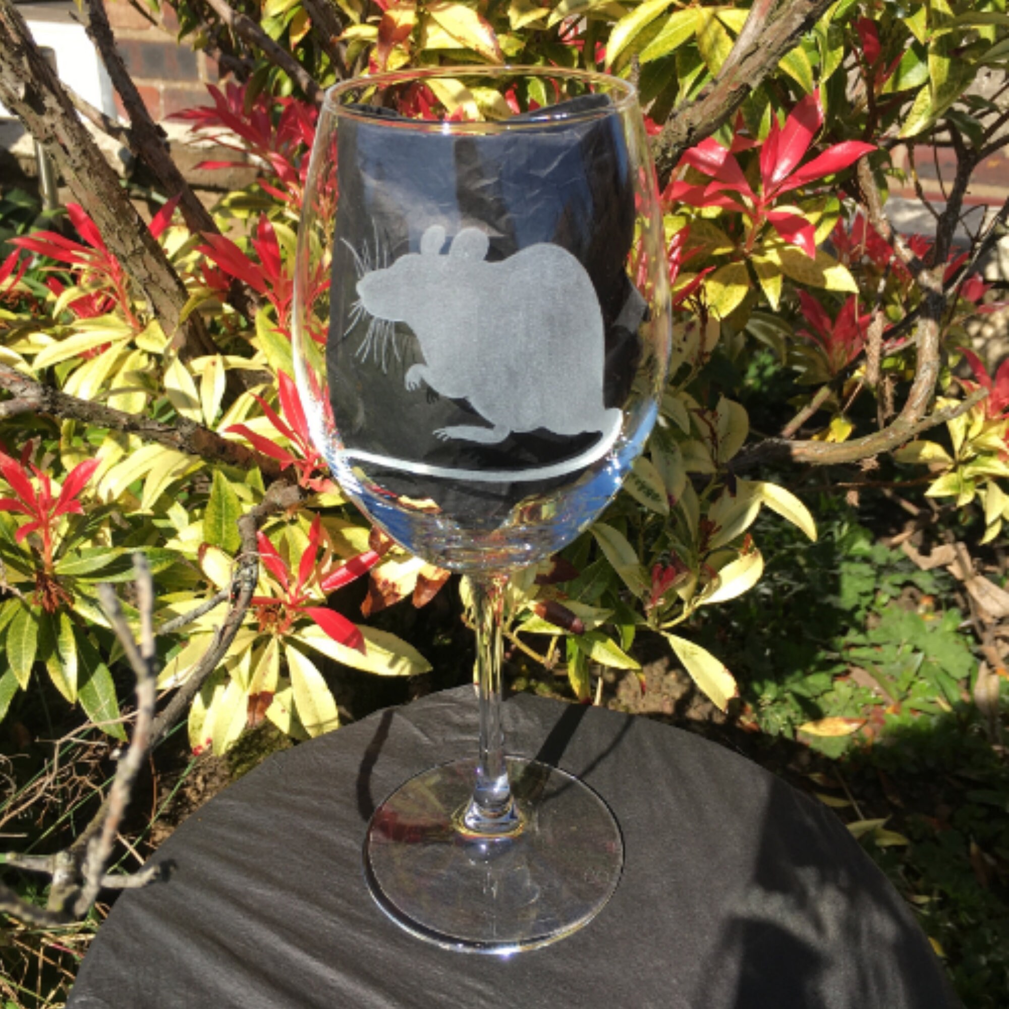 Rat lover / Engraved wine glass / Pet rat / Rat gifts | Etsy