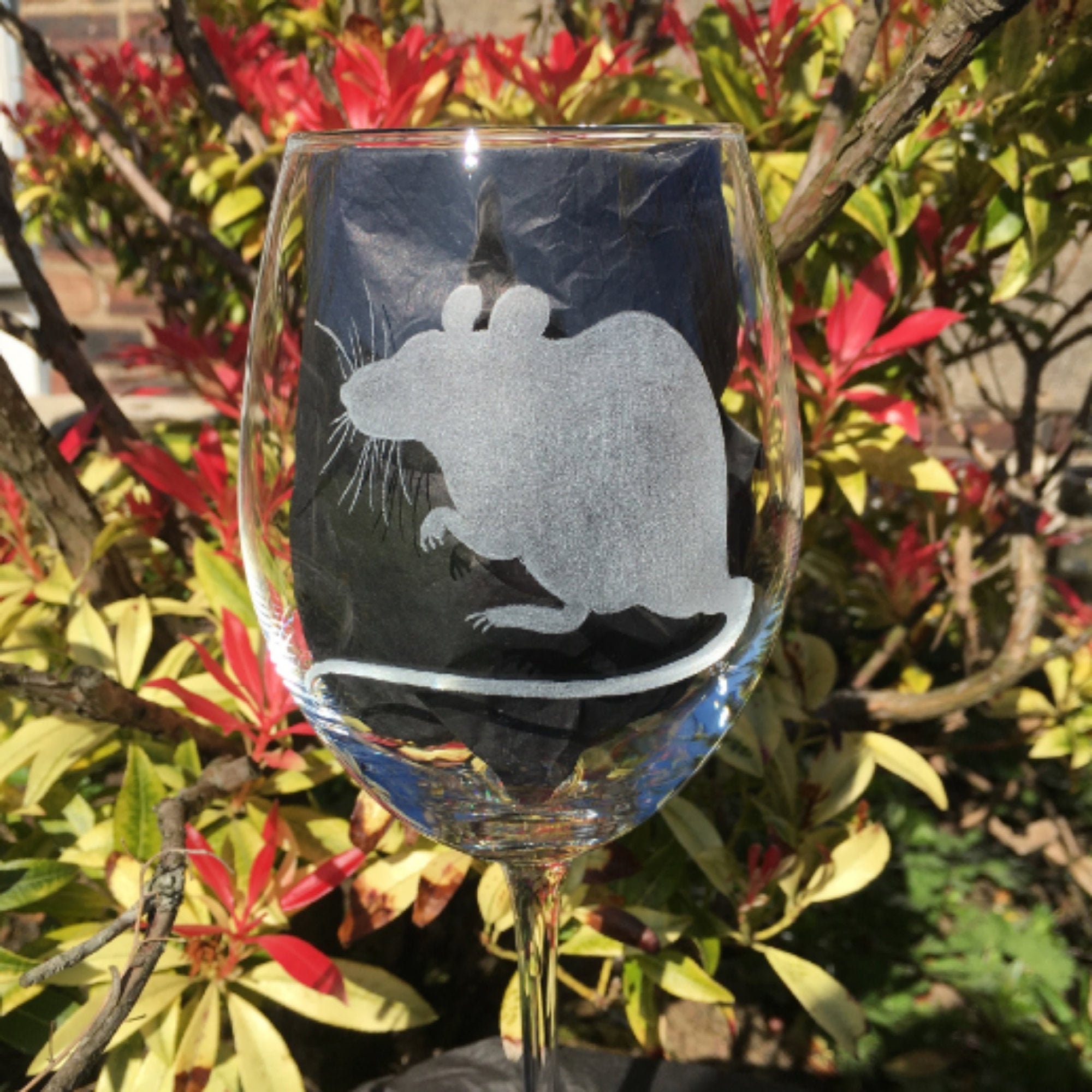 Rat lover / Engraved wine glass / Pet rat / Rat gifts | Etsy