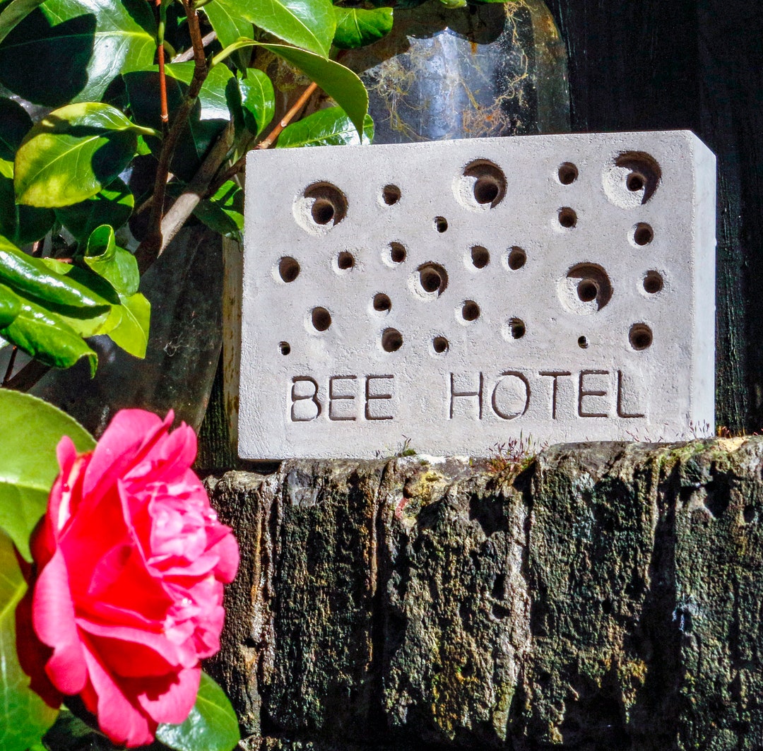 BEE HOTEL Concrete Cast - Etsy UK