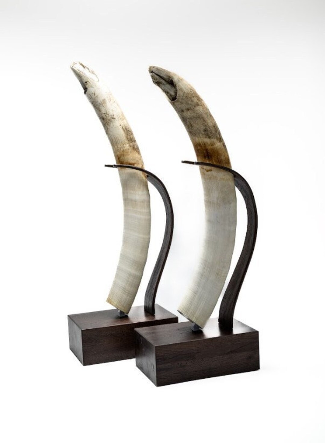 Elephant Tusk Holder | Custom Made Piece | Home Decor Piece | Home ...