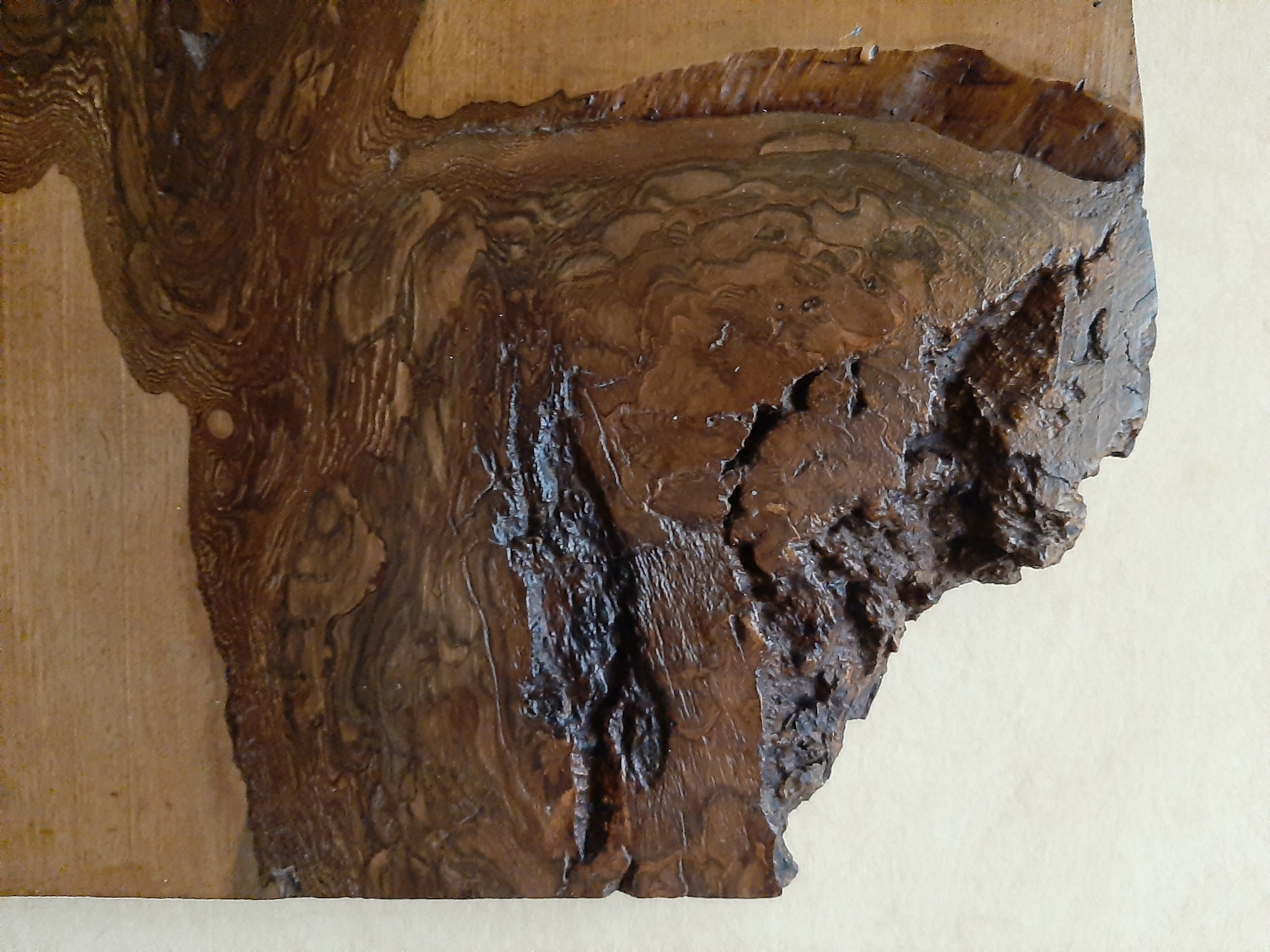 Walnut slabs Wall hanging decor Enjoy the wood Wood slab decor | Etsy