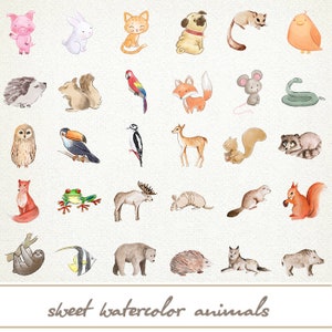 Animals Clip Art Watercolor Animal Bundle - Wild Animals Pets Clip Art ...