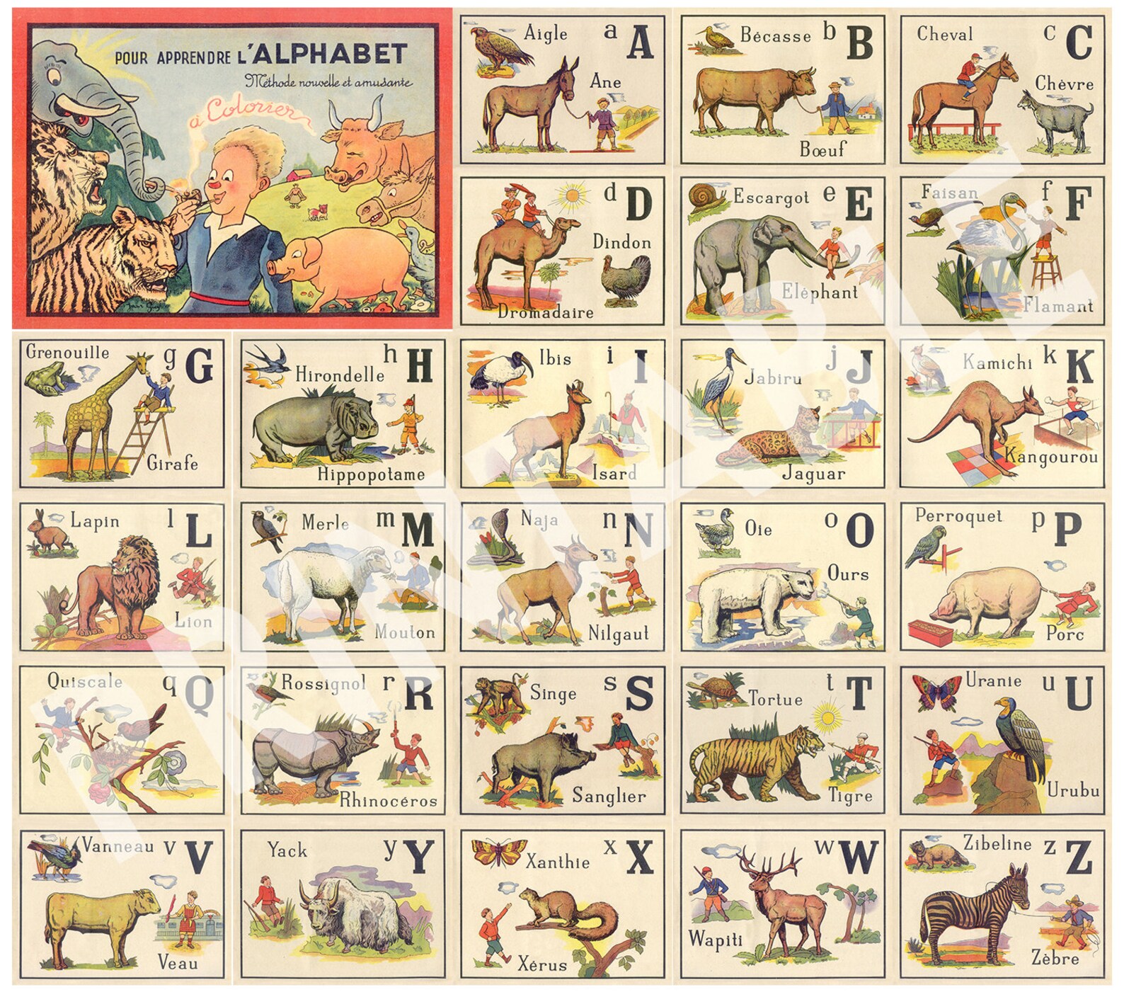 Alphabet Printable Flash Cards ABC Animals Cards for Print | Etsy