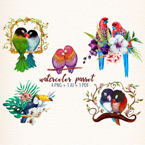 Watercolor Parrot Vector Clipart Watercolor Birds Clip Art - Etsy