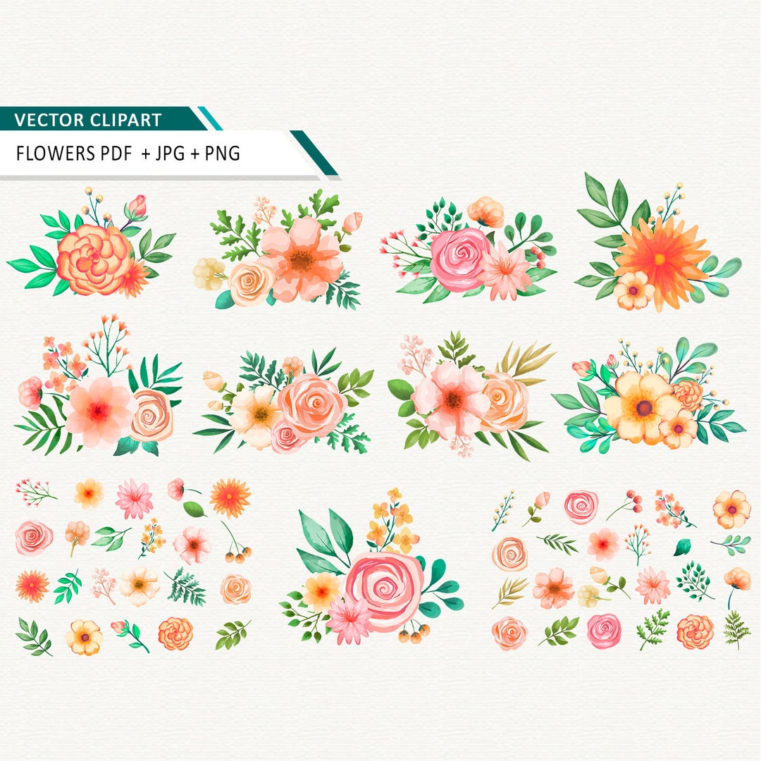 Watercolor Rose Clipart Vector Floral Clip Art for Commercial Use OK ...