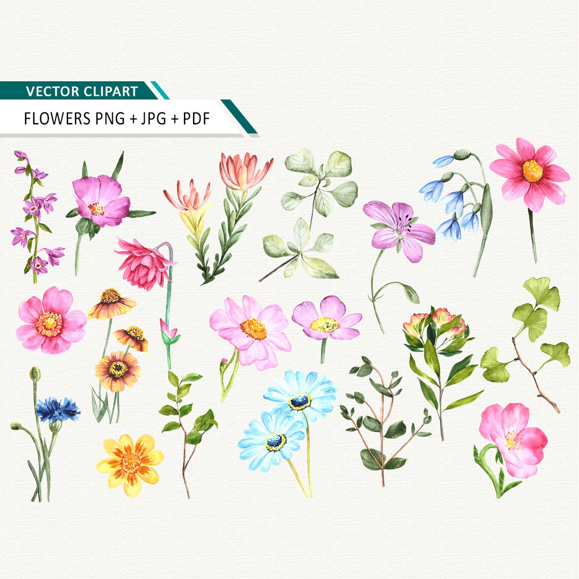 Watercolor floral clipart Vector flowers clip art for | Etsy