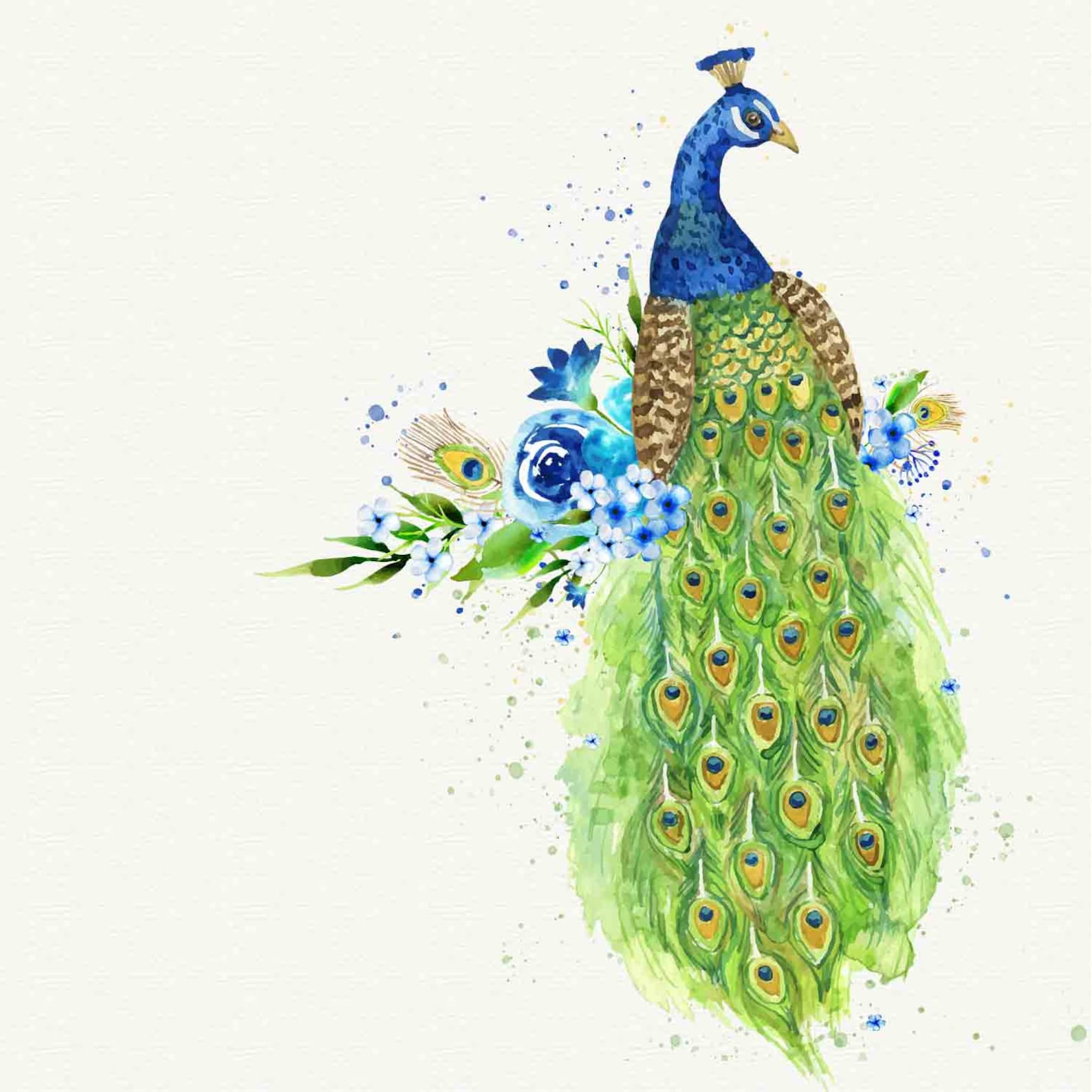 Peacock Watercolor Clipart Peacock and Flowers Vector Clip Art - Etsy