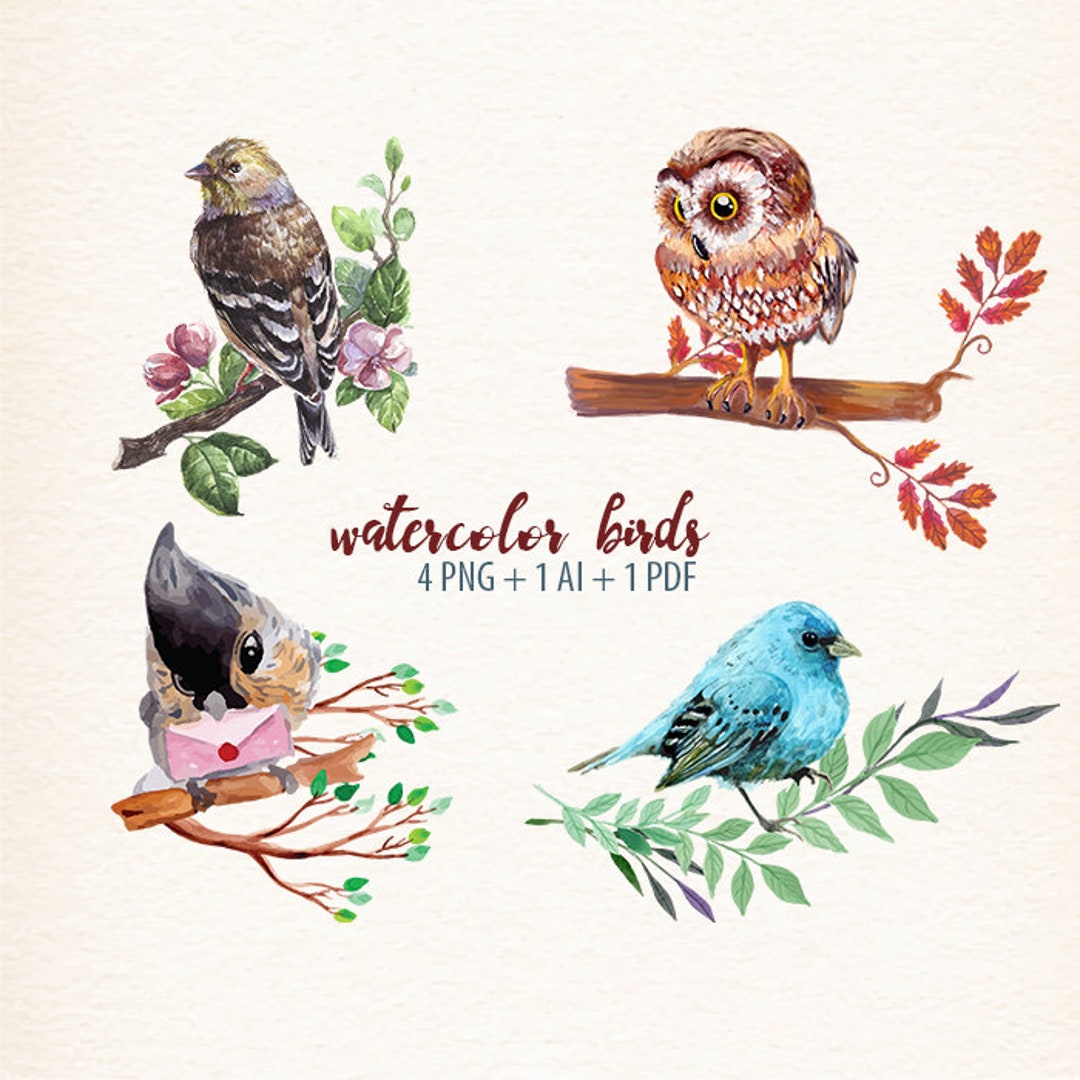 Bird Watercolor Vector Birds Watercolor Clipart Own Clip Art - Etsy