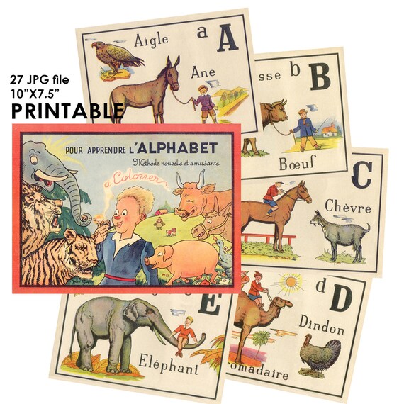 Alphabet Printable Flash Cards ABC Animals Cards for Print | Etsy