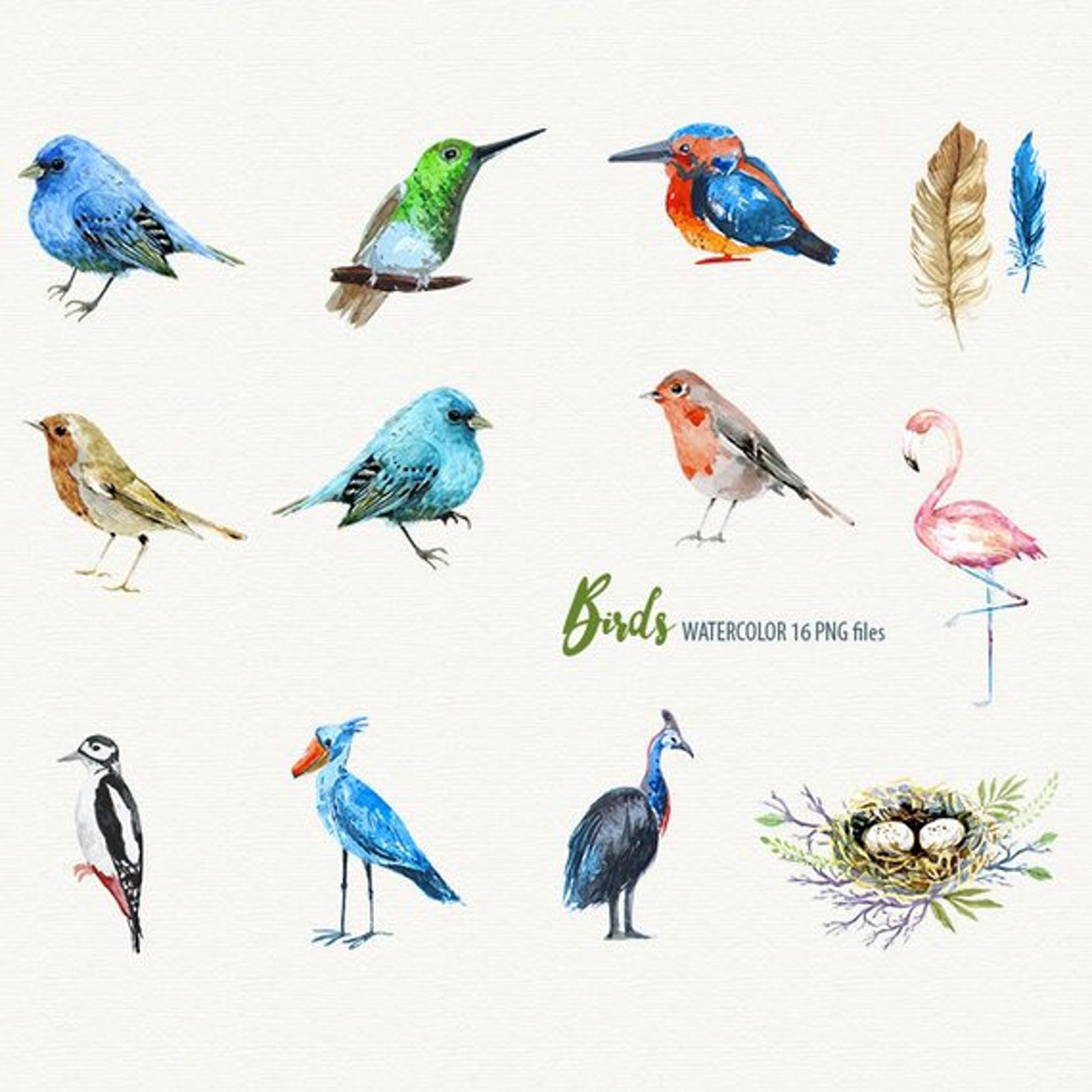 Watercolor Birds Clipart Bird Printable Feather Clipart | Etsy