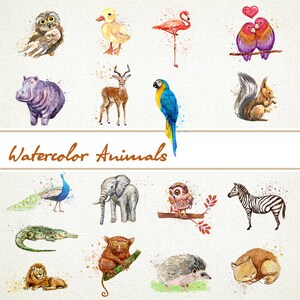 Animals Clip Art Watercolor Animal Bundle - Wild Animals Pets Clip Art ...