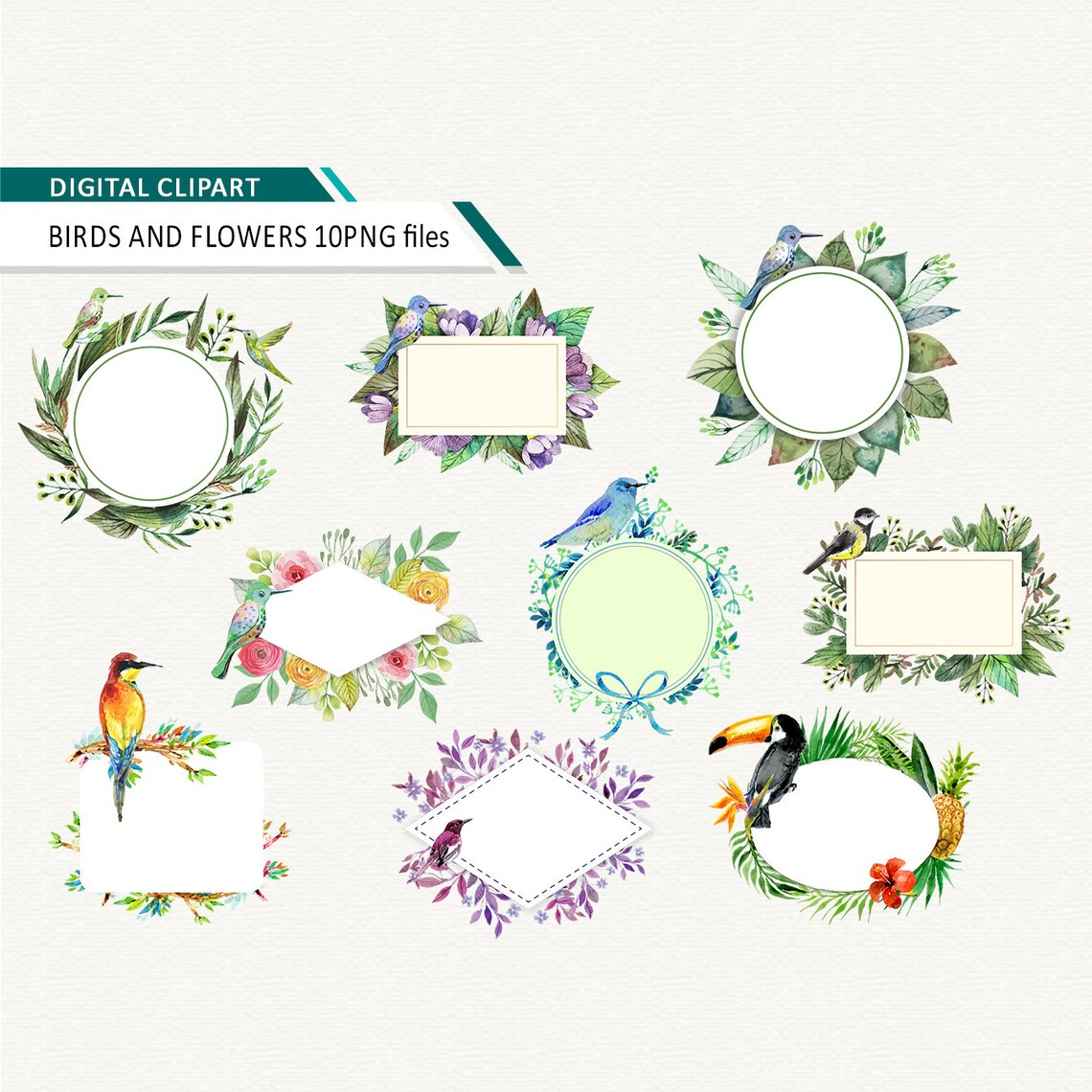 Birds and flowers watercolor clipart Bird frames clipart | Etsy