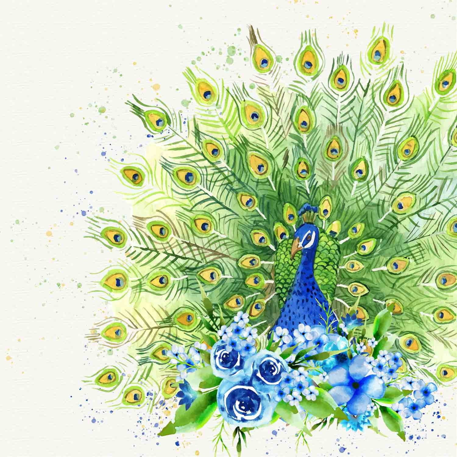 Peacock Watercolor Clipart Peacock and Flowers Vector Clip Art - Etsy