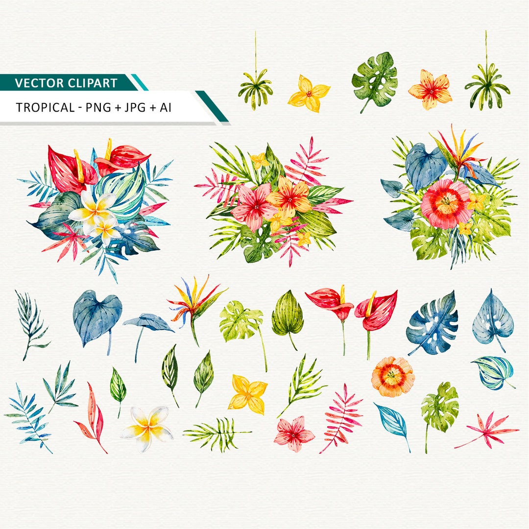 Watercolor Tropical Flowers Clipart Watercolor Tropic Vector Clip Art ...