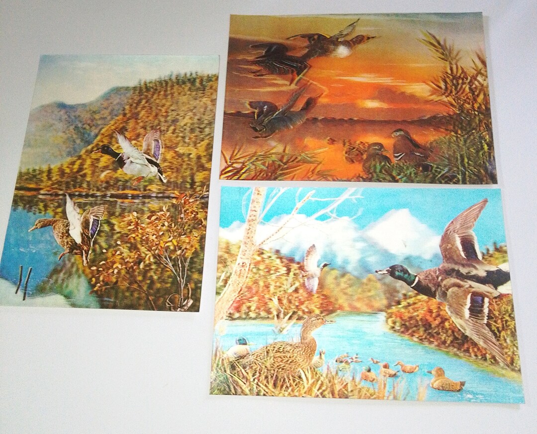 Vintage 3D Lenticular Duck Postcards - Set of 3 - 1970s Japan - Etsy