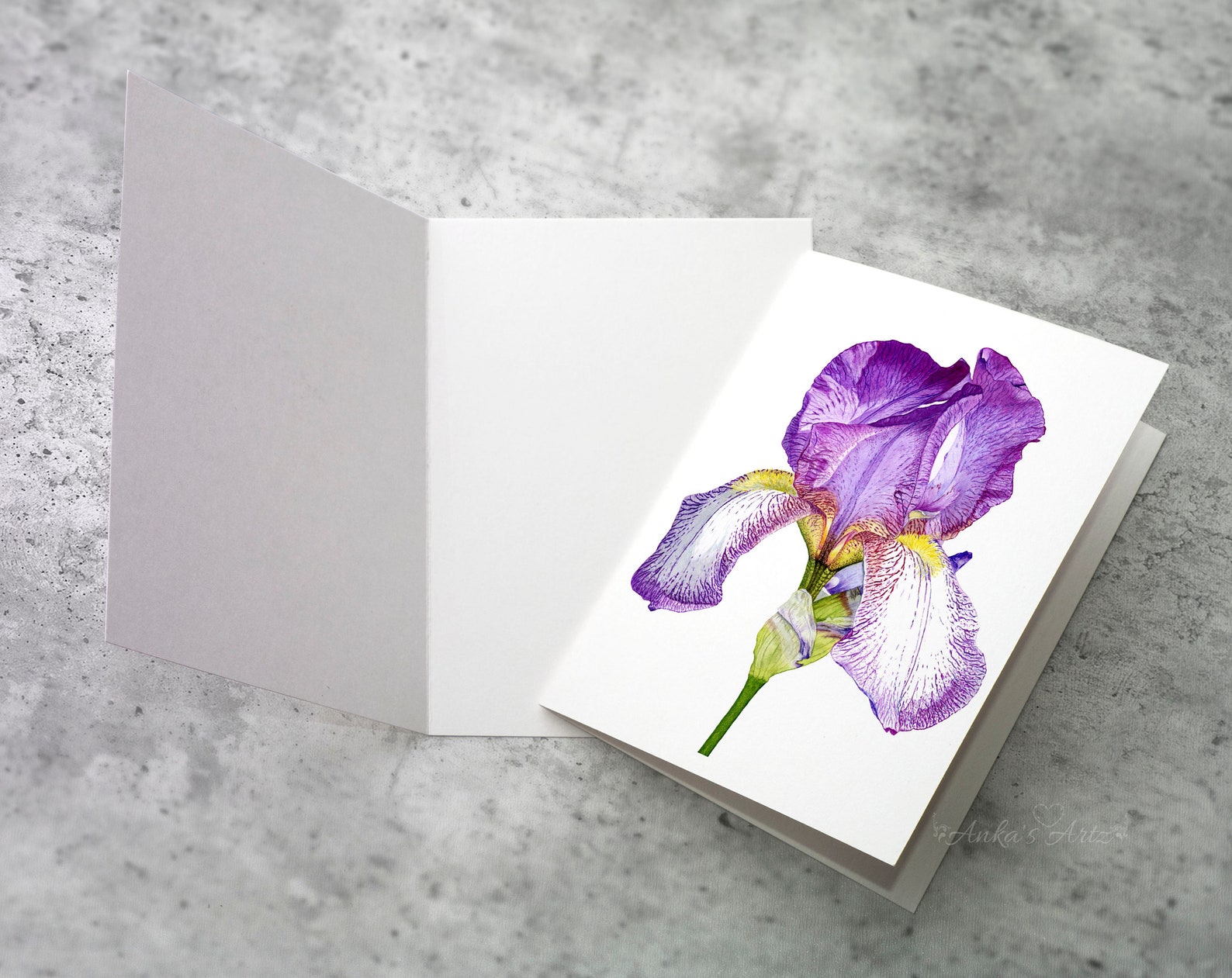 PURPLE IRIS Greeting Card, All-occasion Card, Folded Vertical Card ...