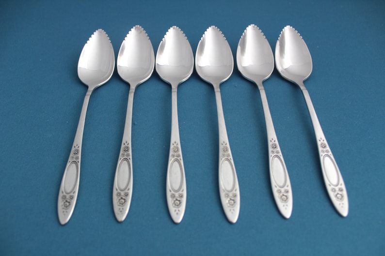 6 Fruit Orange Spoons Oneida Community VIGNETTE Stainless Burnished 6 ...