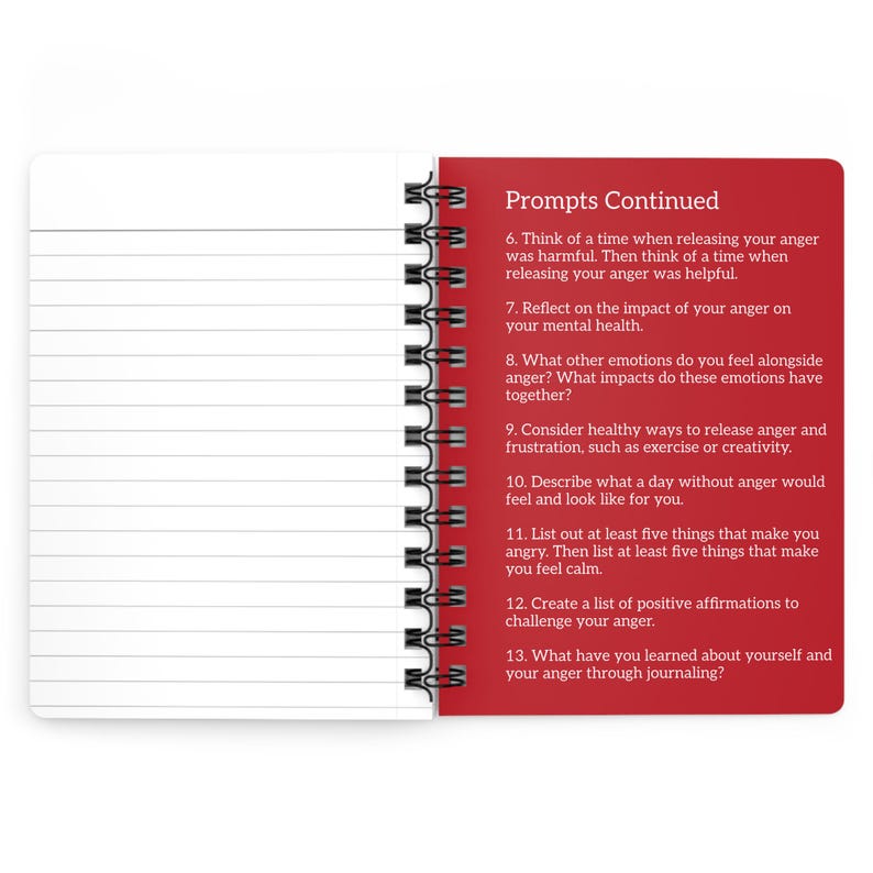 Burn Book Anger Management Journal Spiral 5x7" Venting Notebook Anger ...