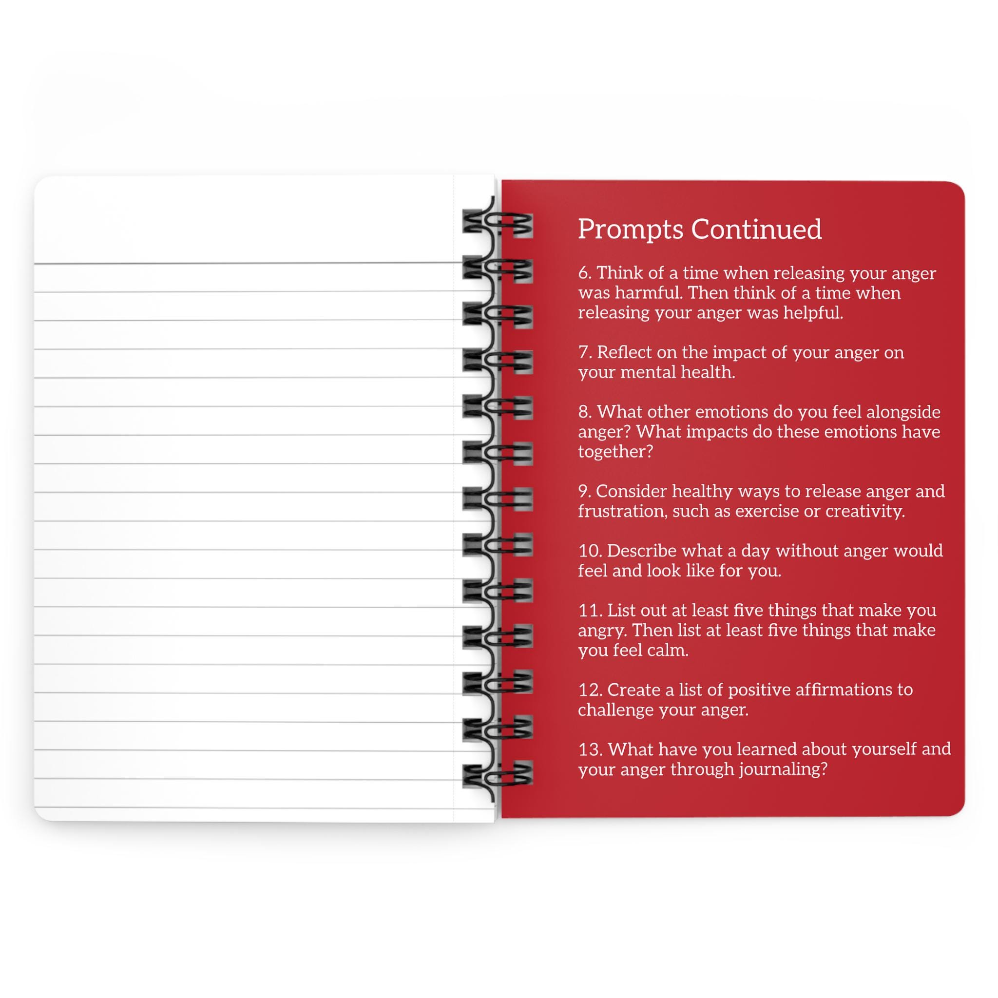 Burn Book Anger Management Journal Spiral 5x7" Venting Notebook Anger ...