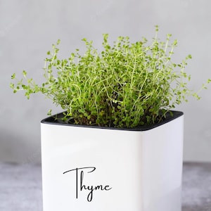 Herb DECALS, Potted Plant Labels, Herb Garden Vinyl Decals, Gardening ...