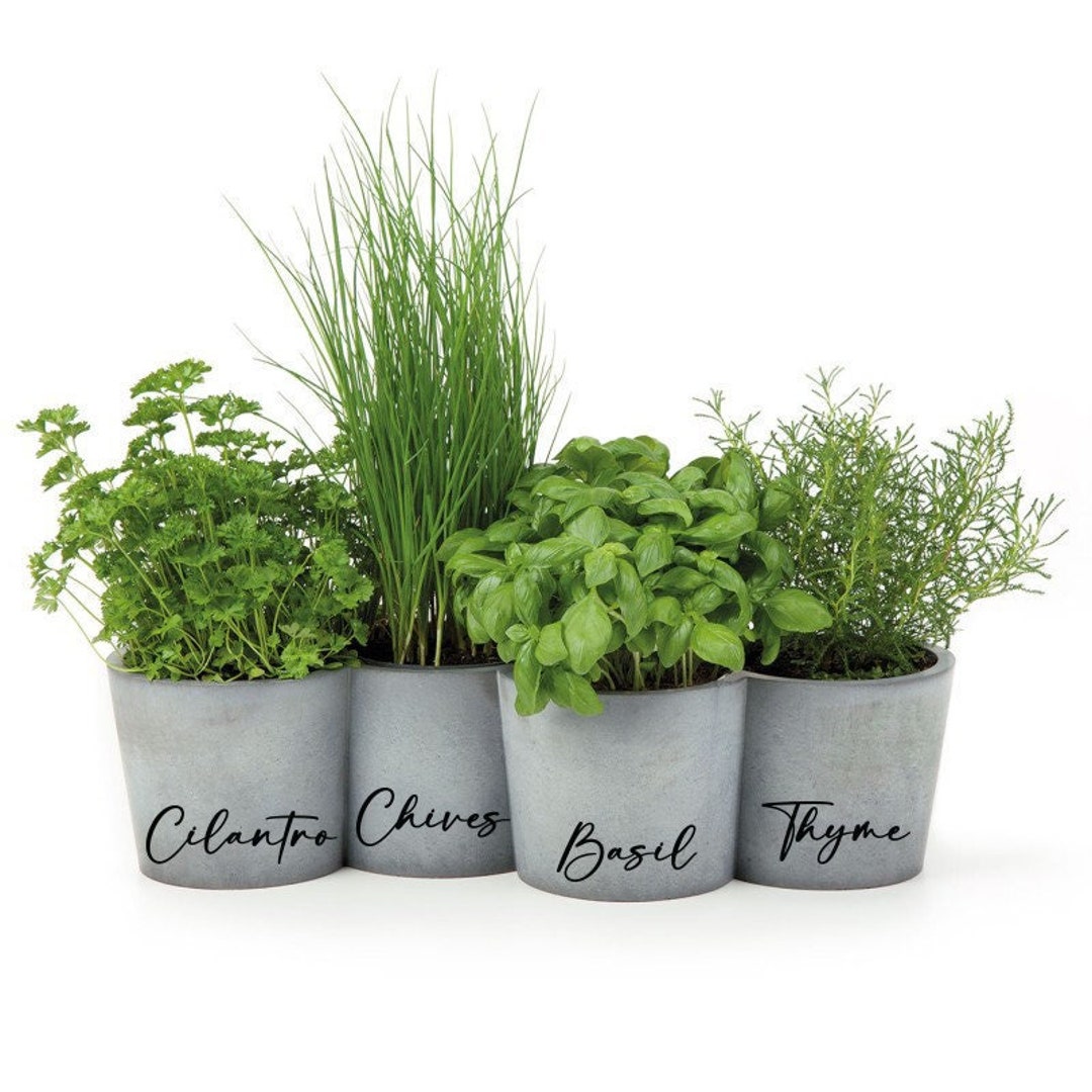 Herb DECALS, Potted Plant Labels, Herb Garden Vinyl Decals, Gardening ...