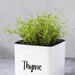 Herb DECALS Potted Plant Labels Herb Garden Vinyl Decals - Etsy