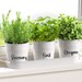 Herb DECALS Potted Plant Labels Herb Garden Vinyl Decals - Etsy