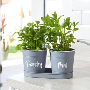 Herb DECALS, Potted Plant Labels, Herb Garden Vinyl Decals, Gardening ...