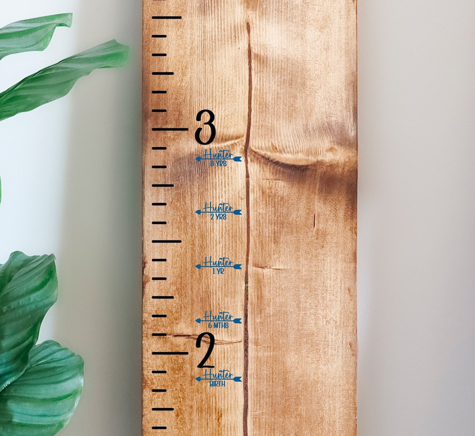 Custom Growth Chart Add-on Decals, Birth Day to 18yrs(20 Pcs), Height ...