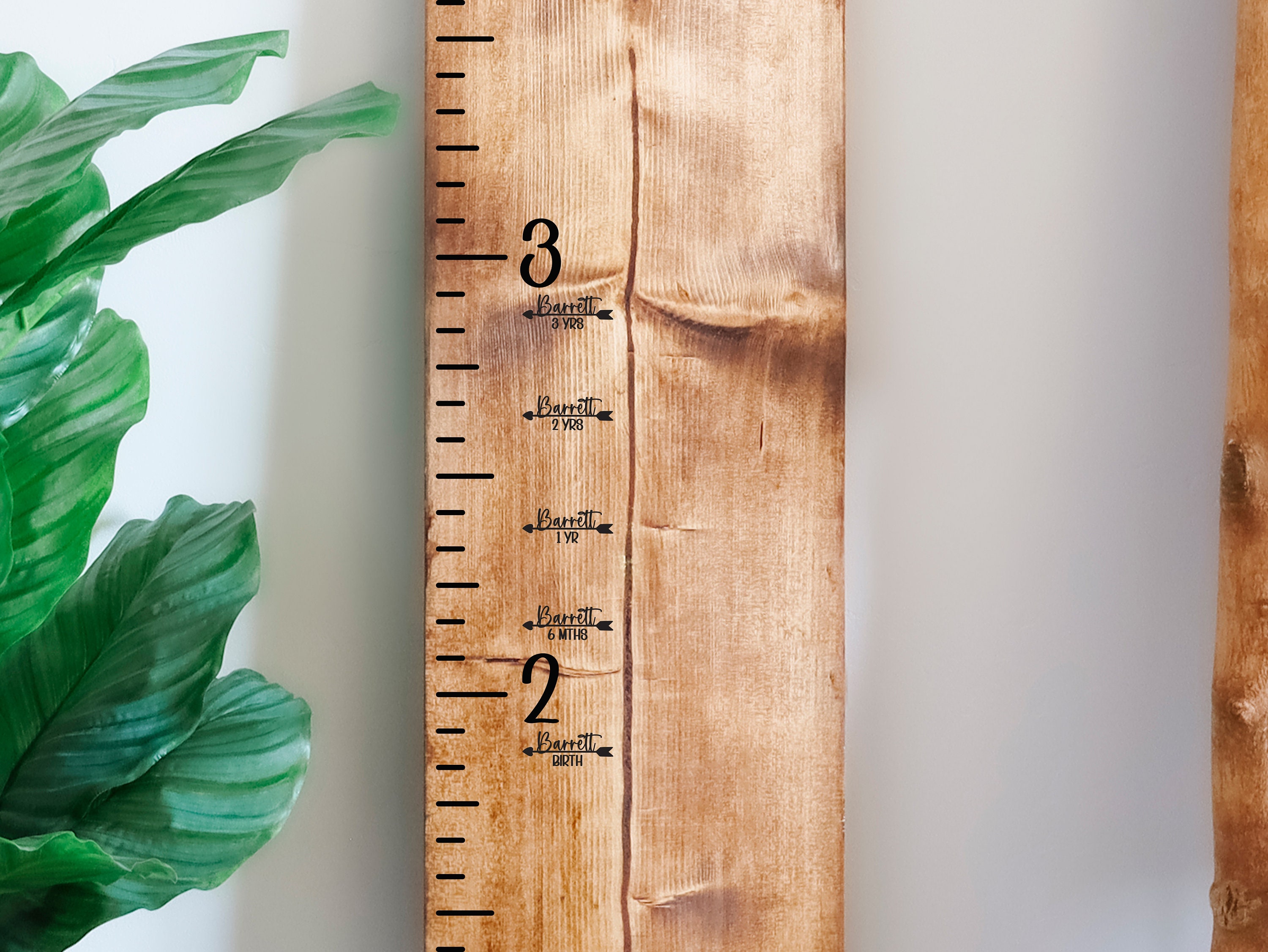 Custom Growth Chart Add-on Decals, Birth Day to 18yrs(20 Pcs), Height ...