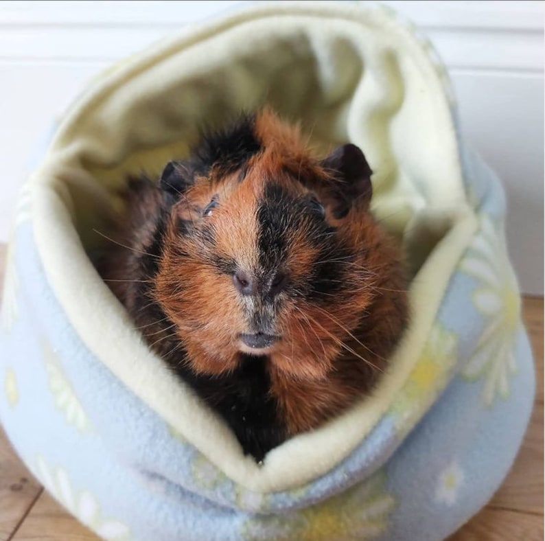 LARGE Piggie Pod Guinea Pig Bed CUSTOM ORDER - Etsy UK