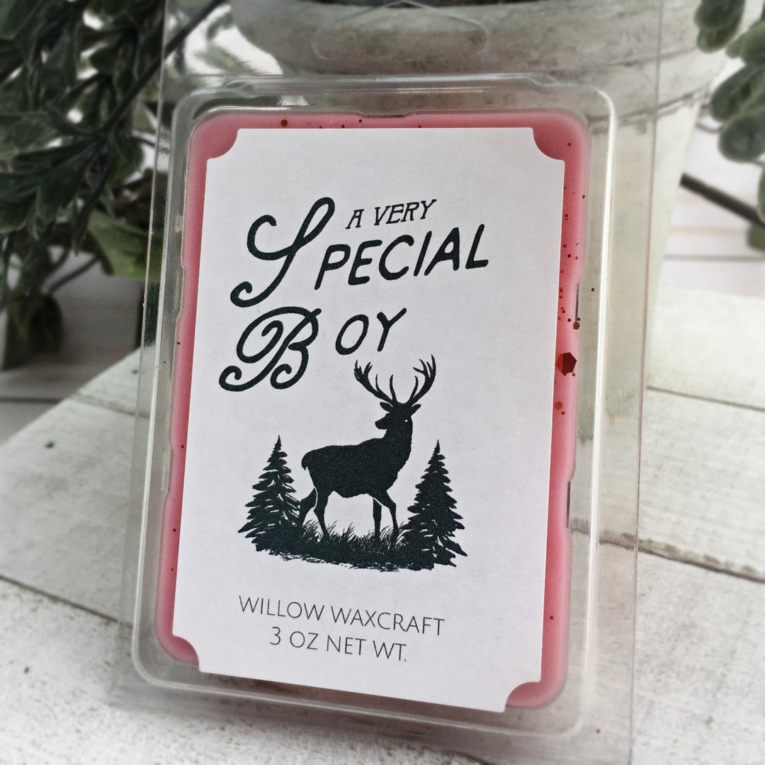 Scented Wax Melt Clamshell, Wild Collection, A Very Special Boy ...
