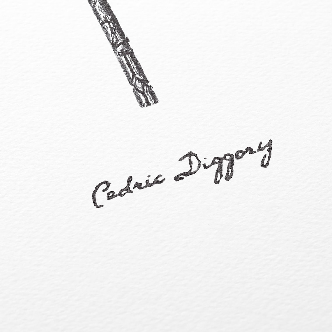 Cedric Diggory Harry Potter Wizarding World Hogwarts Art Print | Etsy