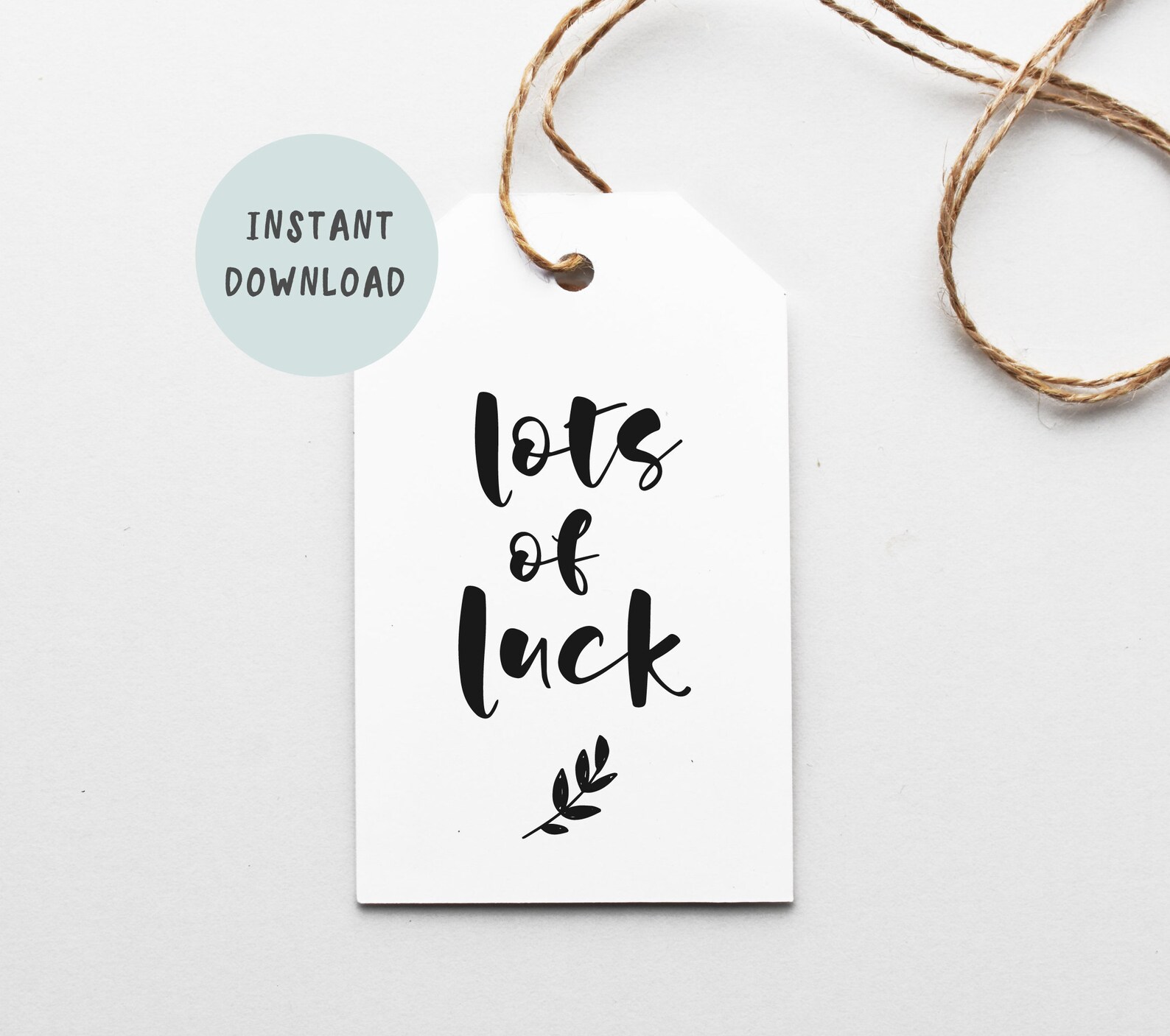 Printable Good Luck Tag | Lots of Luck | Good Luck Cheer Tags | Favor ...
