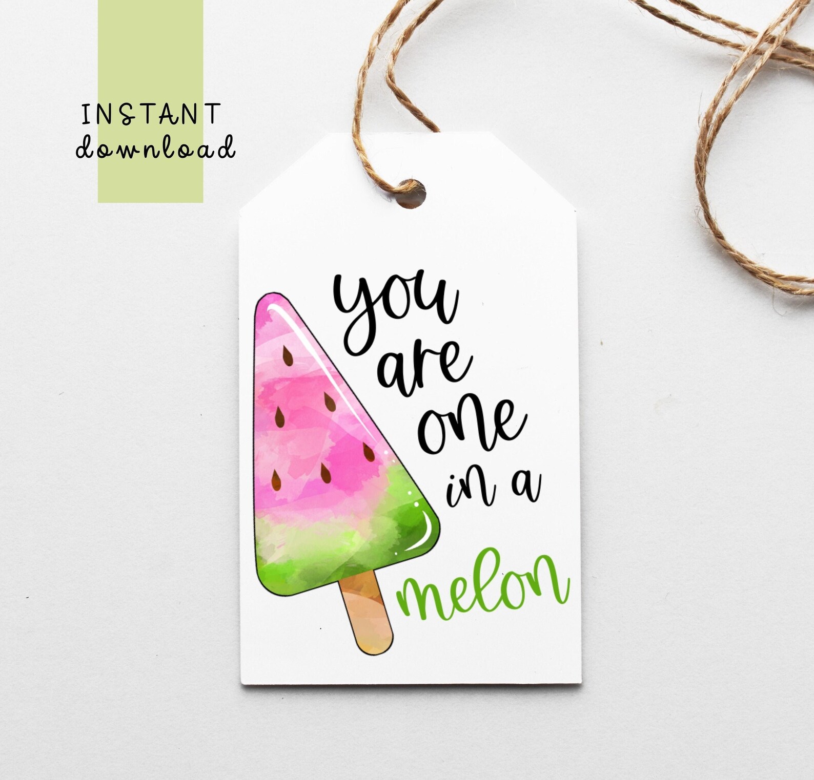Printable Gift Tag Melon Tags Summer Party Favor Tags - Etsy