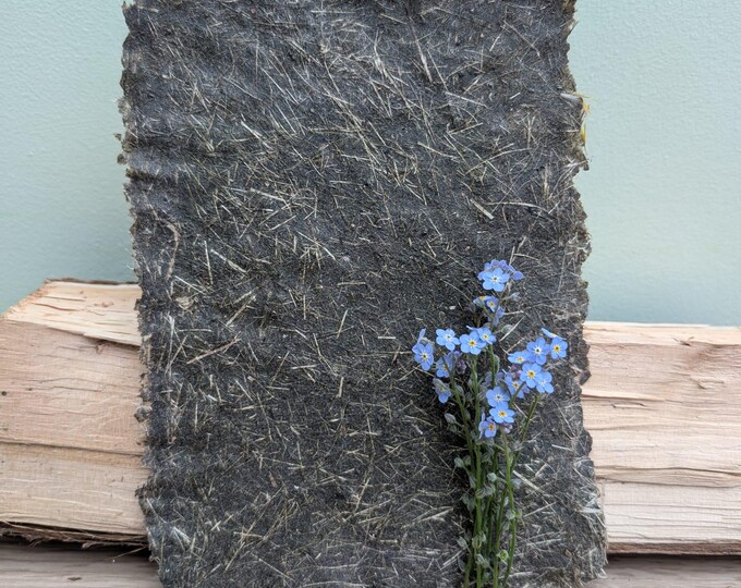 Handmade Forget-me-not Paper Sheets A5/A6 - Etsy