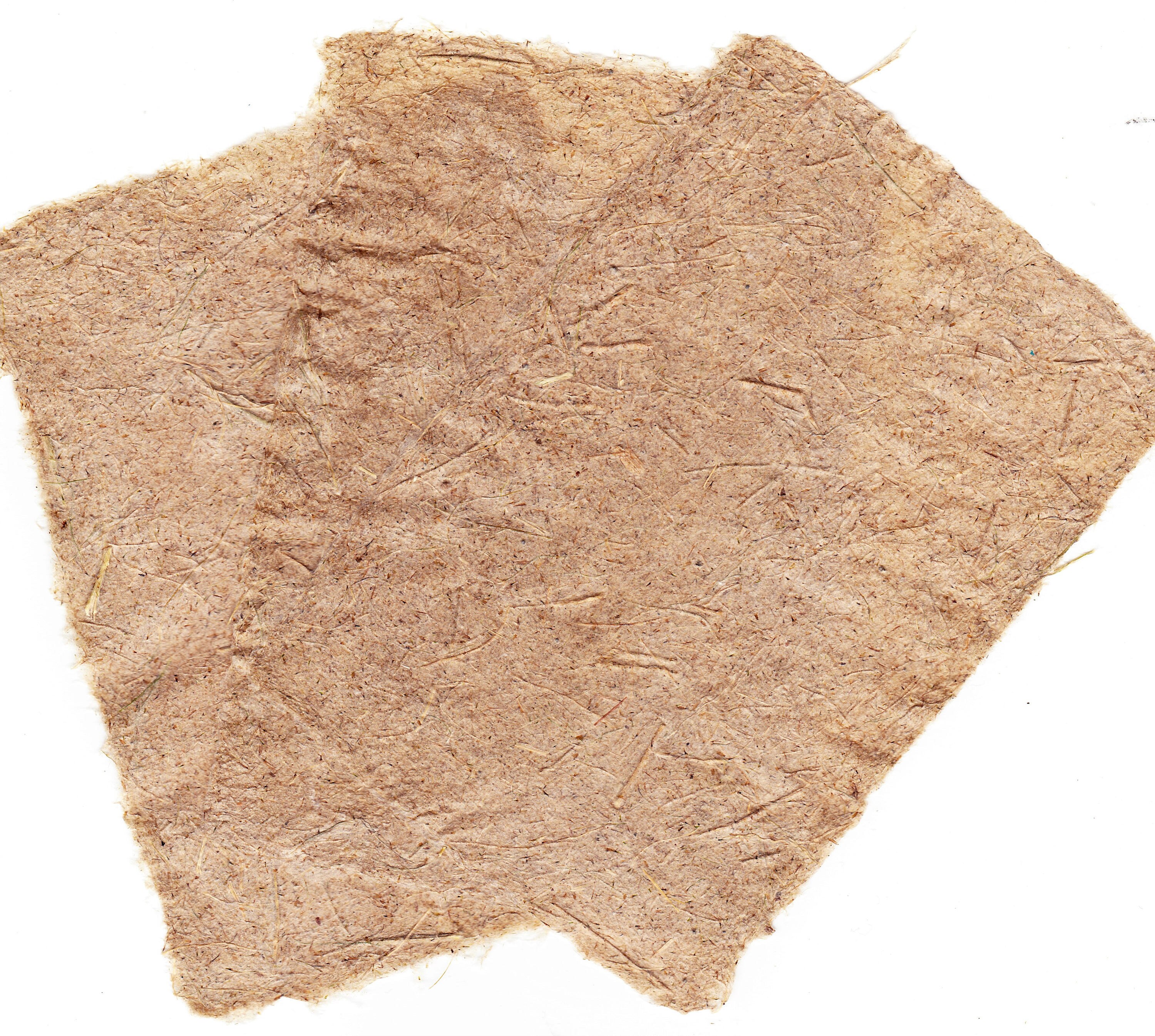 Handmade Wild Plant Paper - 100% Acid Free - Standard Pack - Etsy UK
