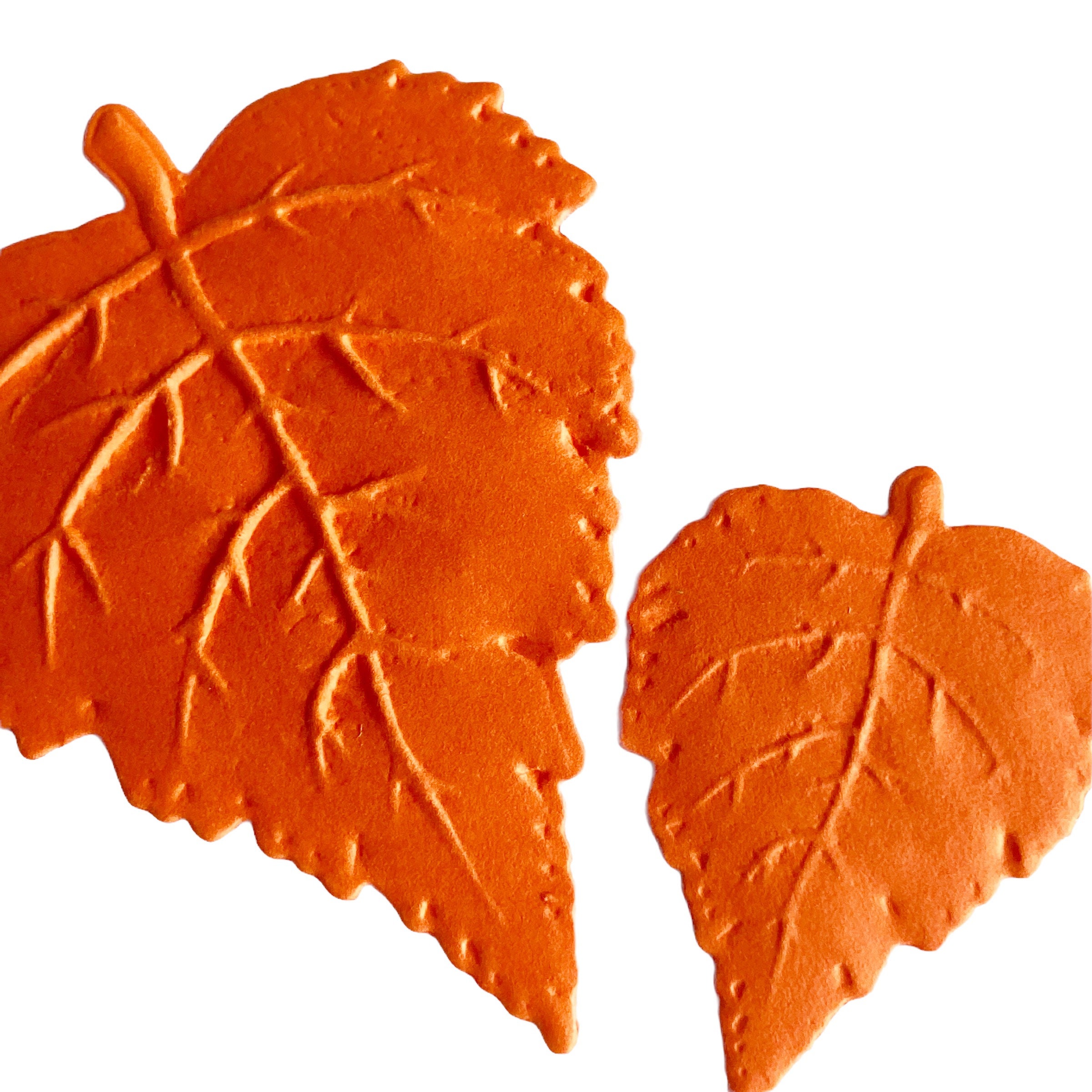 Tim Holtz Leaf Impresslits Die Cuts Fall Colors Junk | Etsy