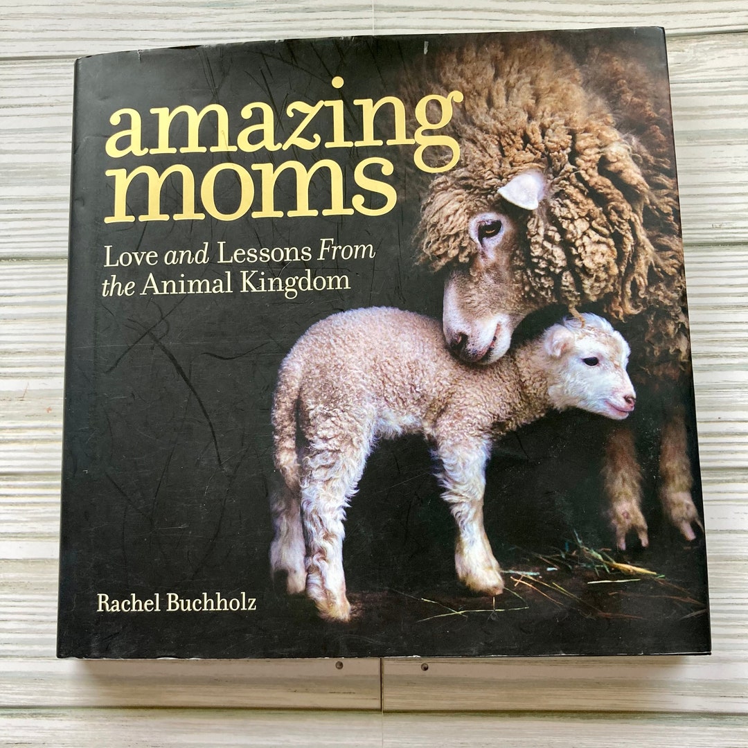 Amazing Moms Love and Lessons From the Animal Kingdom, Book, Junk ...