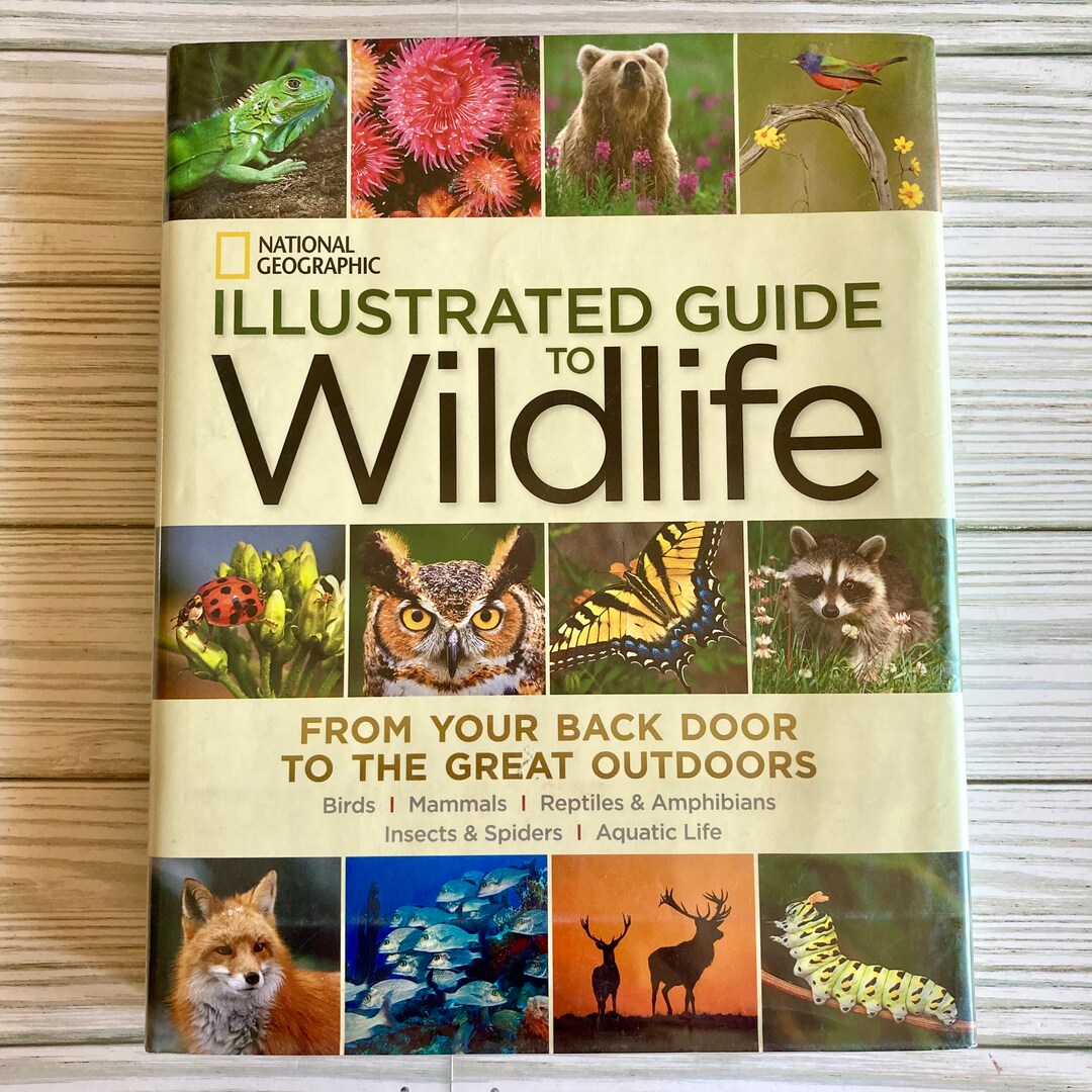 National Geographic Illustrated Guideto Wildlife, Nature Book, Junk ...