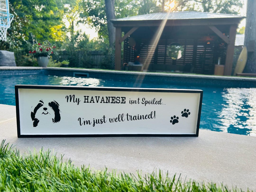 Havanese Sign, Humorous Dog Sign, Farmhouse Sign - Etsy