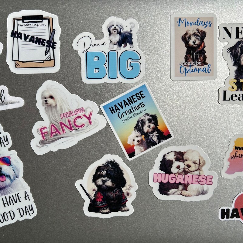 Havanese Stickers - Etsy