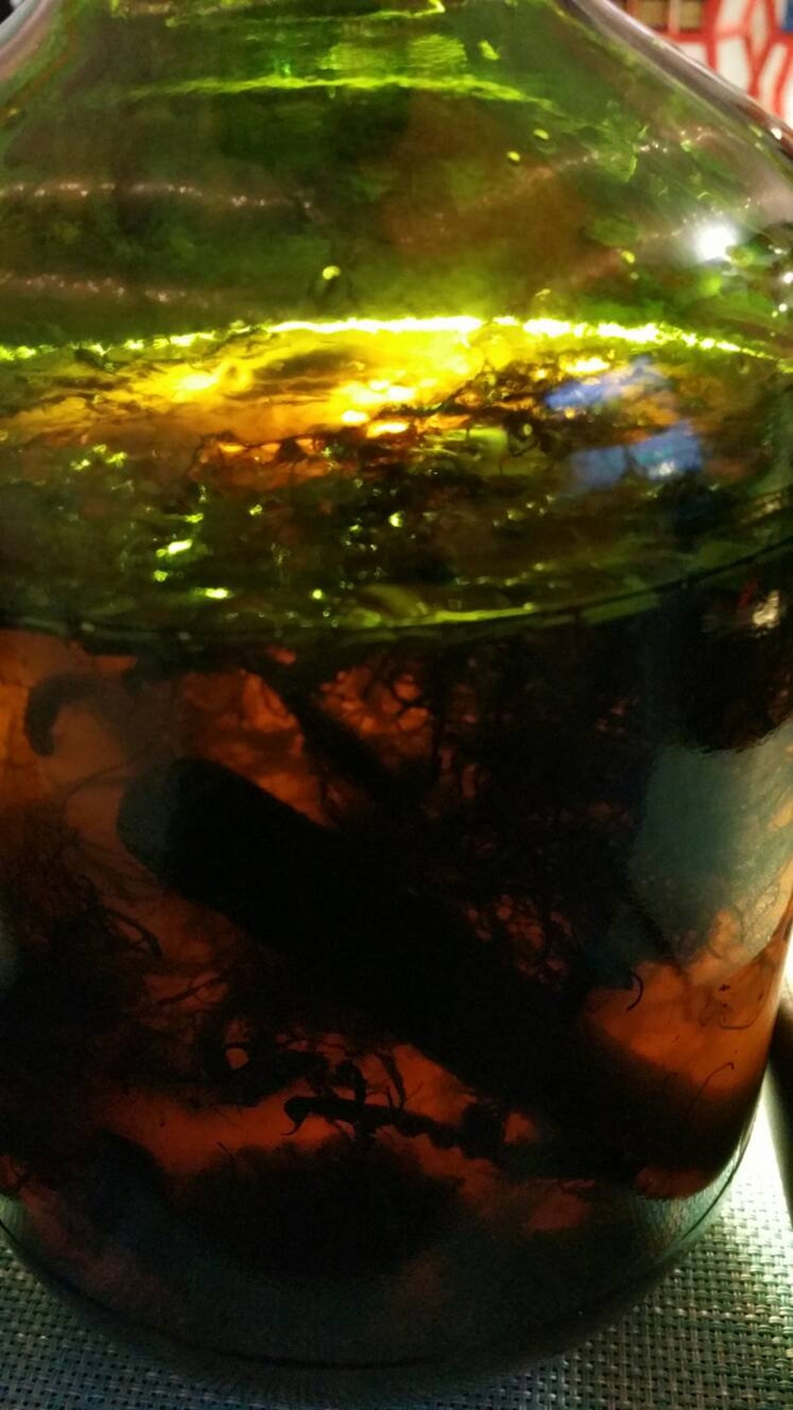 DUME Oil. Death/destruction Unto My Enemy. High Priestess Made - Etsy