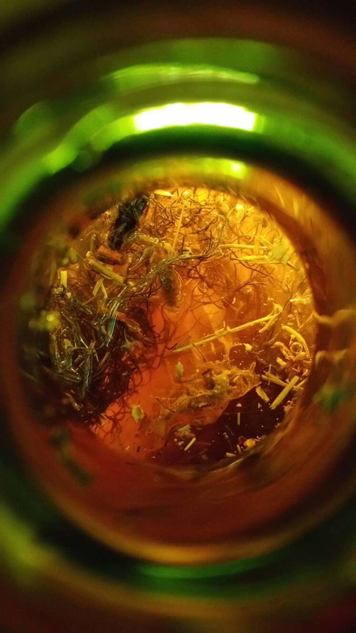 DUME Oil. Death/destruction Unto My Enemy. High Priestess Made | Etsy